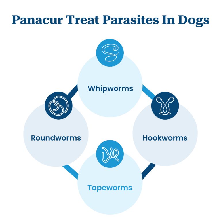 Panacur Tablets: Treat a Variety of Parasites in Dogs