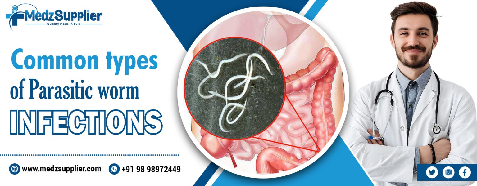 Common Types of Parasitic Worm Infections - Medzsupplier