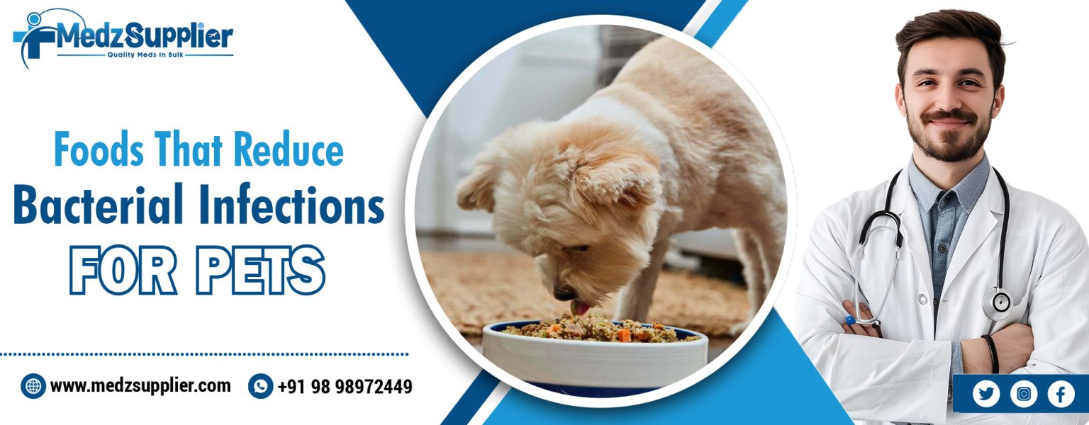Foods That Reduce Bacterial Infections for Pets